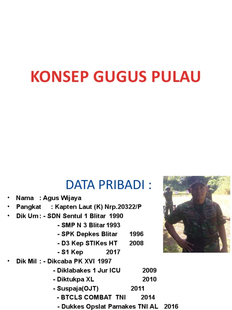 Wawasan Gugus Pulau | PDF