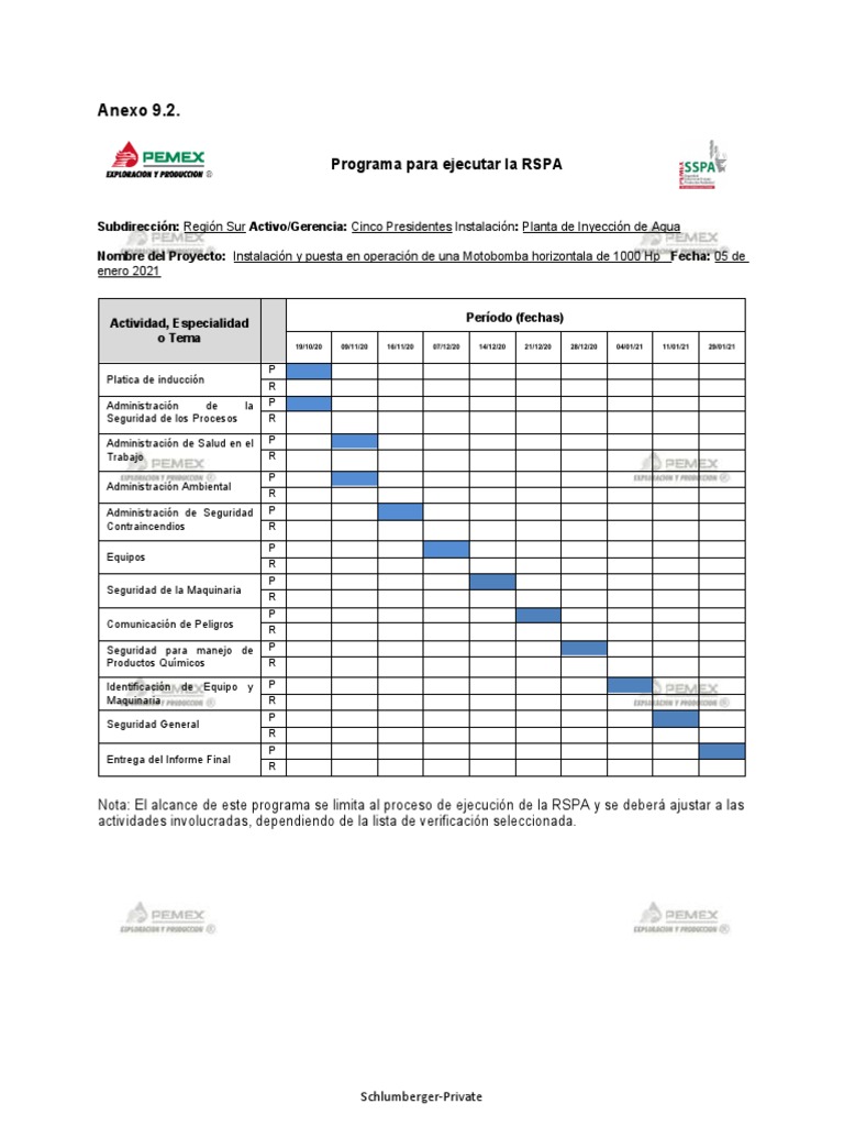 Formato 9.2 Programa de La RSPA | PDF