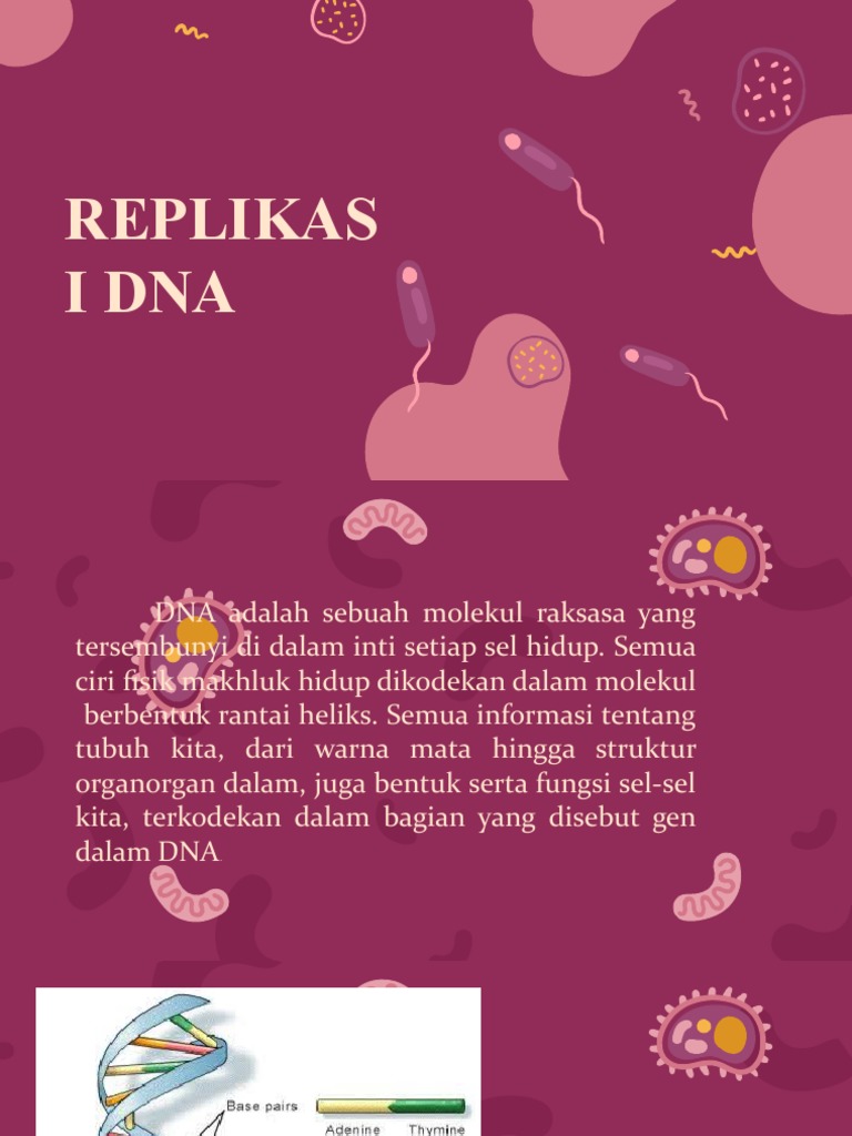 Replikasi Sel | PDF