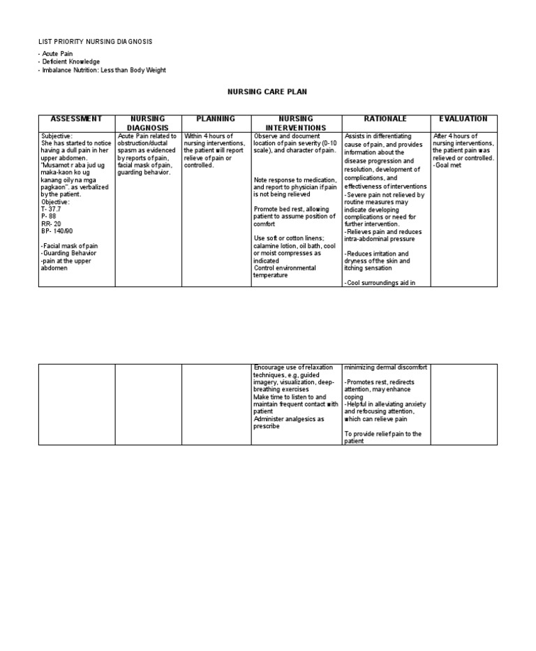 Nursing Care Plan: List Priority Nursing Diagnosis | PDF | Pain | Medicine