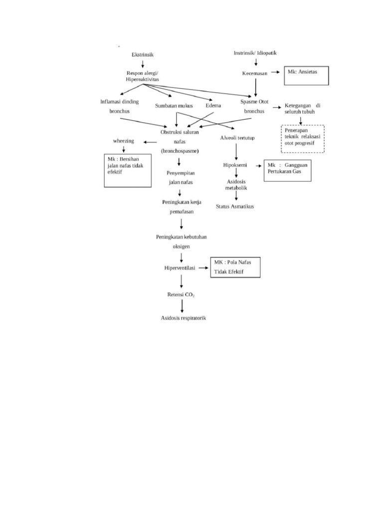 Woc Asma | PDF