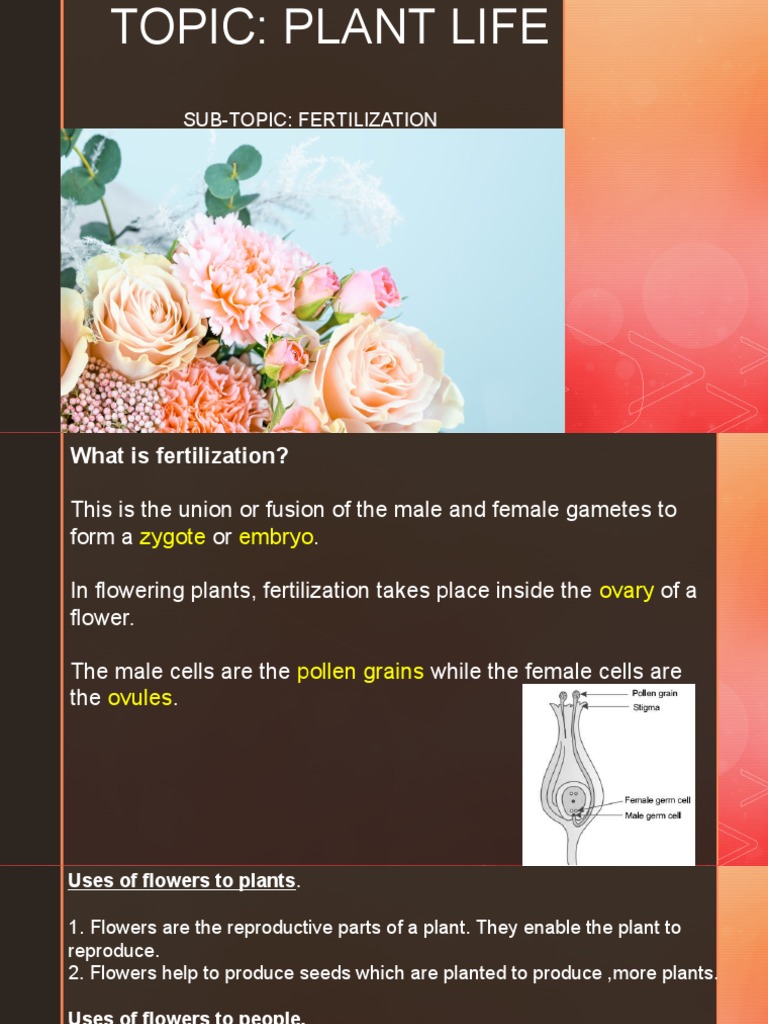 Plant Fertilization and Tropisms Explained | PDF | Flowers | Fertilisation