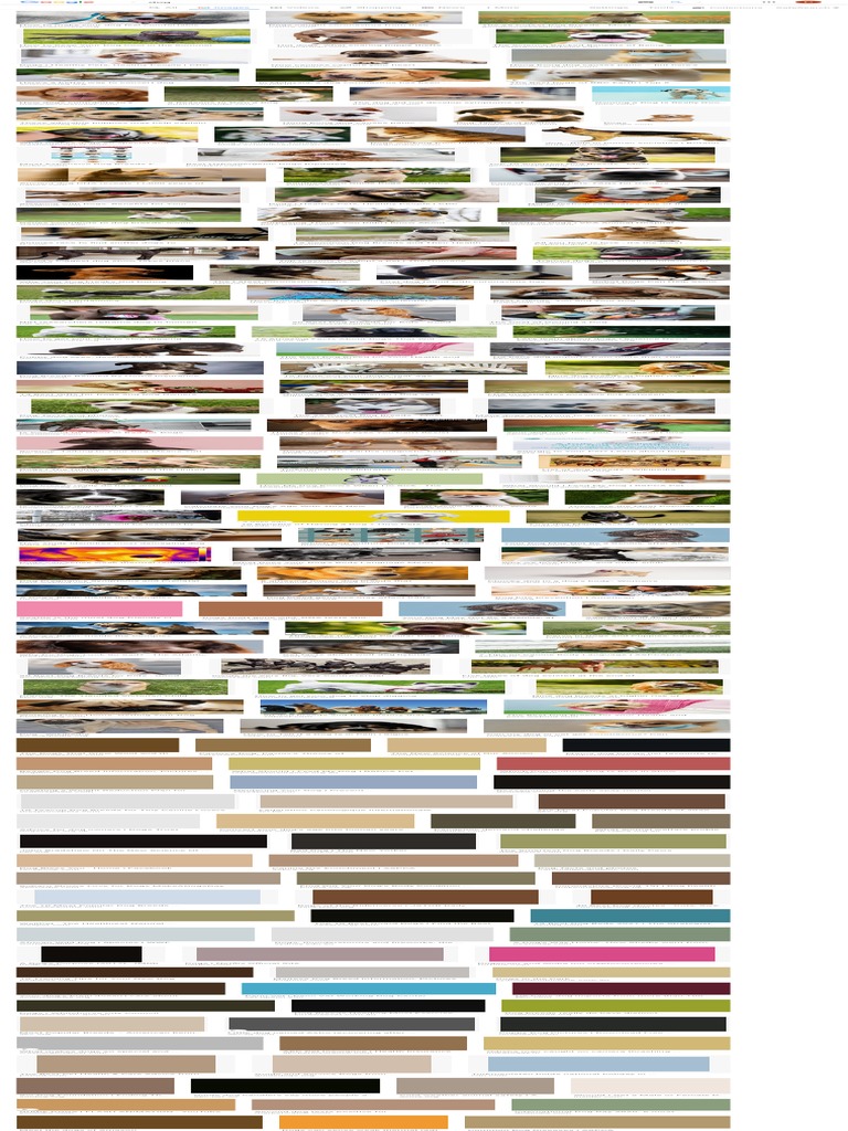 Dog - Google Search | PDF | Dogs | Pet