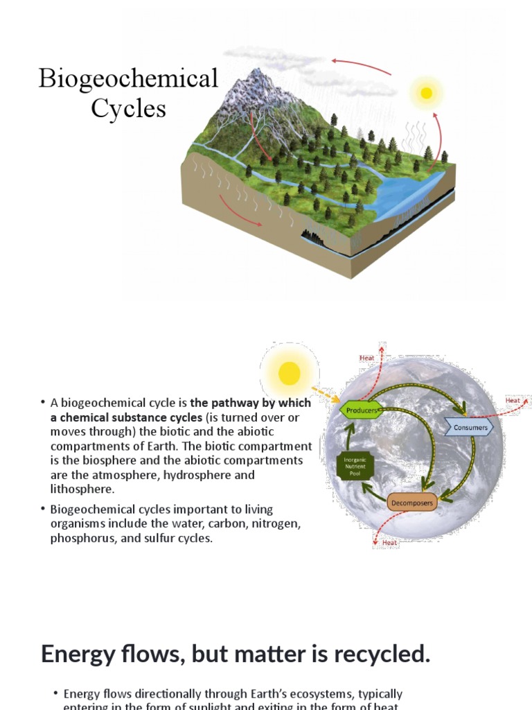 Biogeochemical Cycles | PDF | Water | Water Cycle