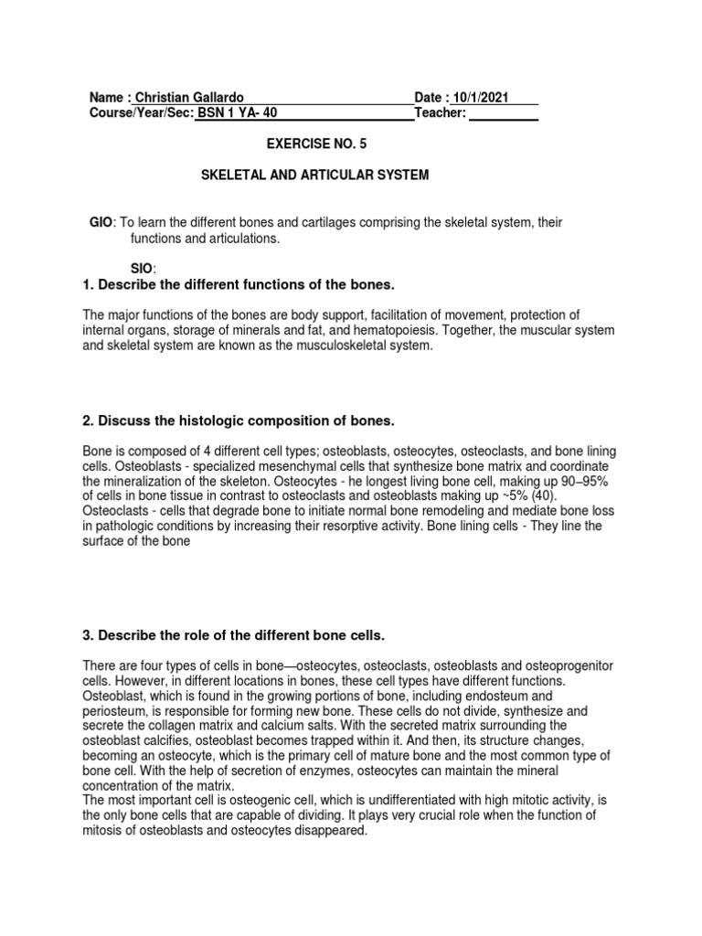 WEEK 5 LAB EXERCISE - Skeletal System | PDF | Bone | Osteoblast