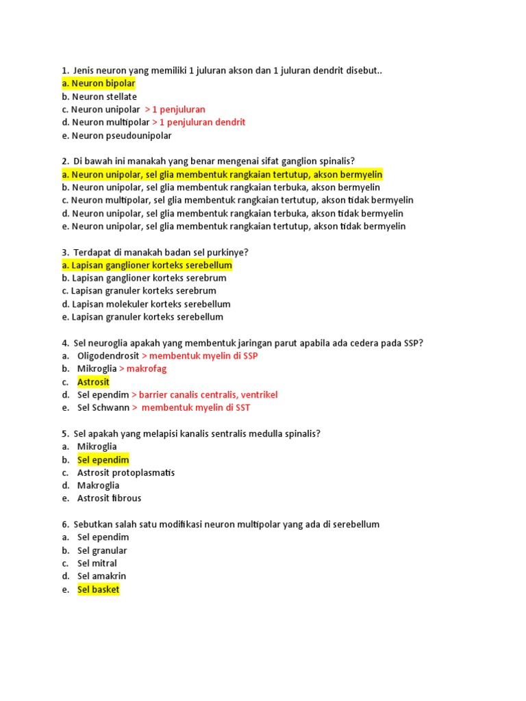 Soal Histo Neuro | PDF