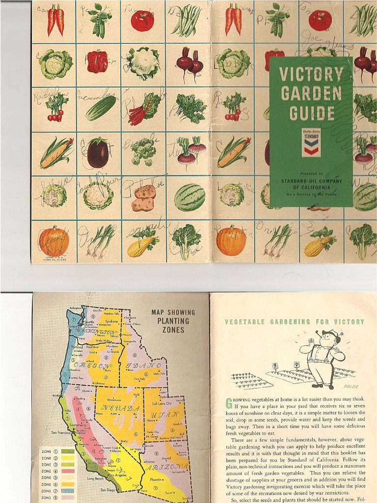 Victory Garden Planning Guide | PDF | Home & Garden