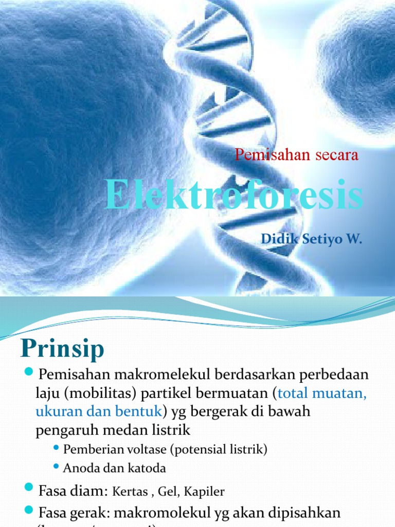 Elektroforesa | PDF
