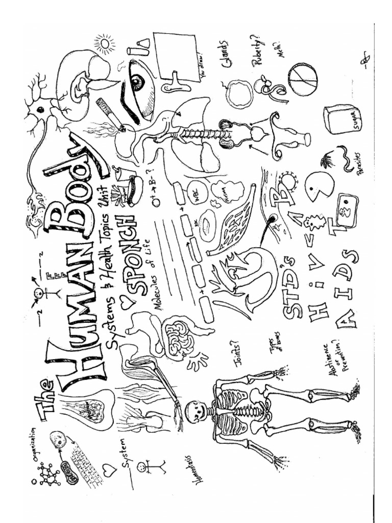 Human Body Systems Coloring and Labeling | PDF