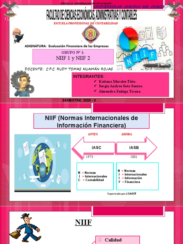 NIIF 1 y NIIF 2 | PDF | normas internacionales de INFORMACION ...