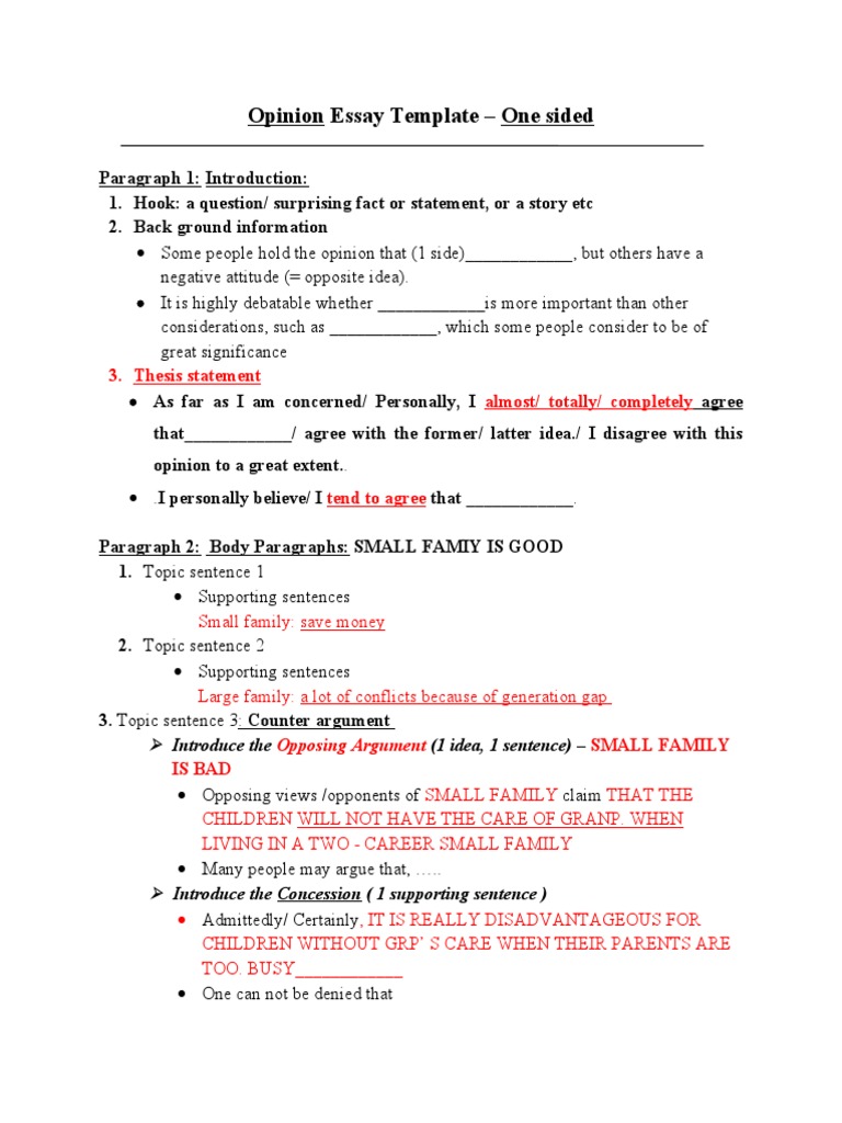 Opinion Essay Template: Small vs. Large Families | PDF | Essays | Vietnam