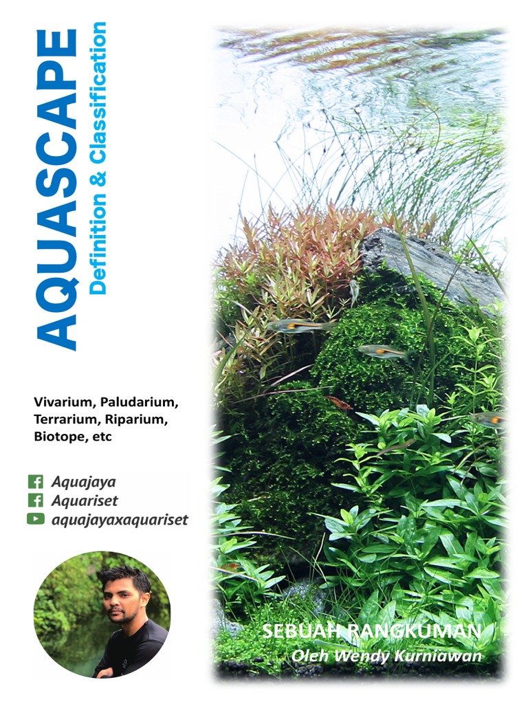 Aqua Scape | PDF
