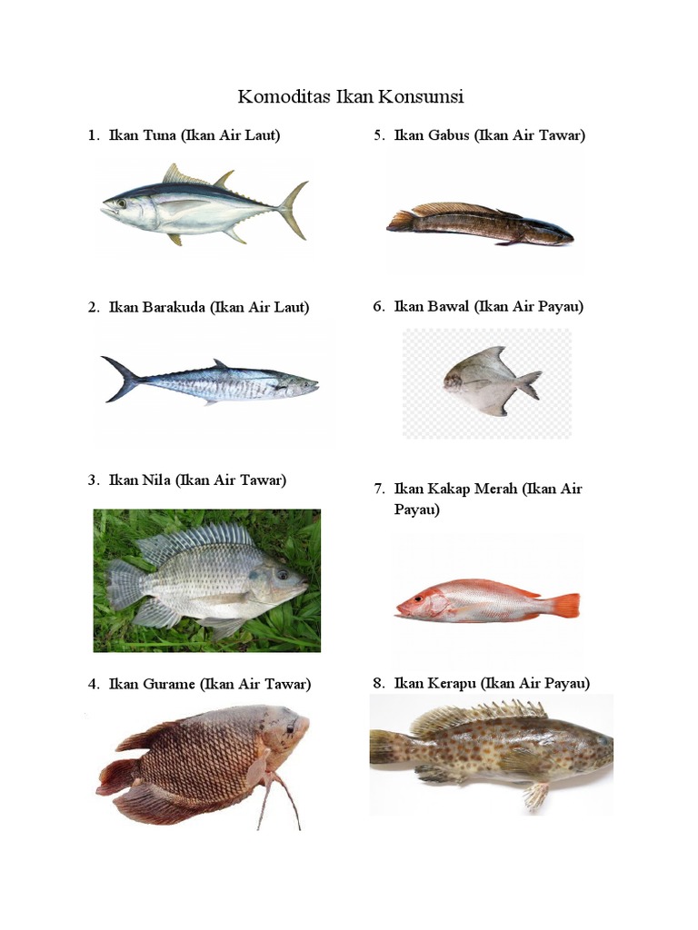 Jenis Ikan Laut dan Konsumsi | PDF