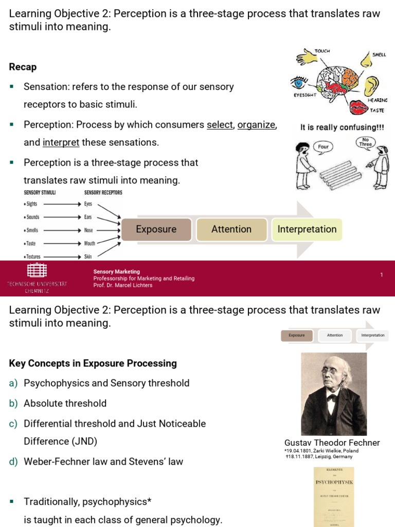 Understanding Consumer Perception Process Pdf Perception
