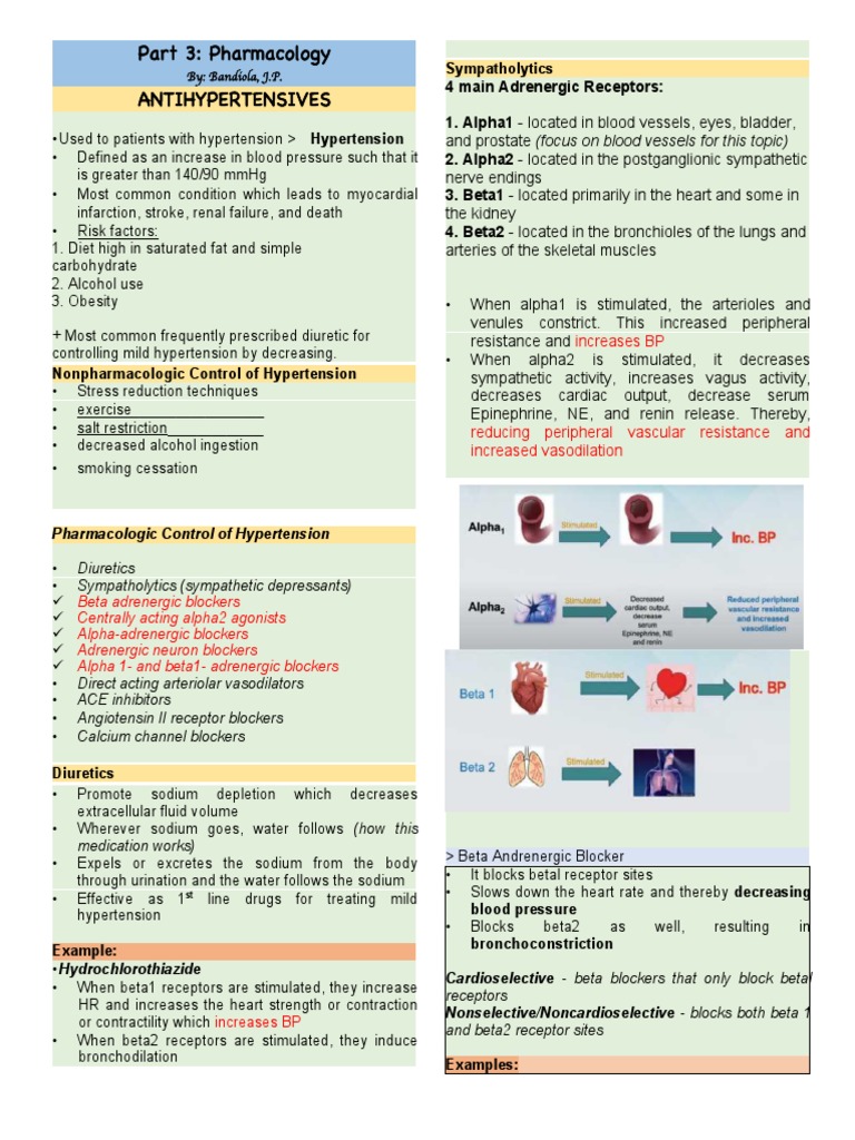 Part 3: Pharmacology Antihypertensives: Sympatholytics | PDF ...