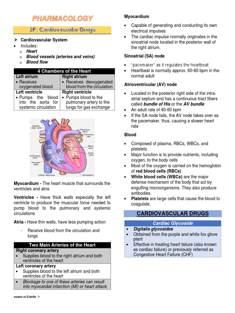 PHARMA 2F Cardiovascular Merged | PDF | Heart | Myocardial Infarction