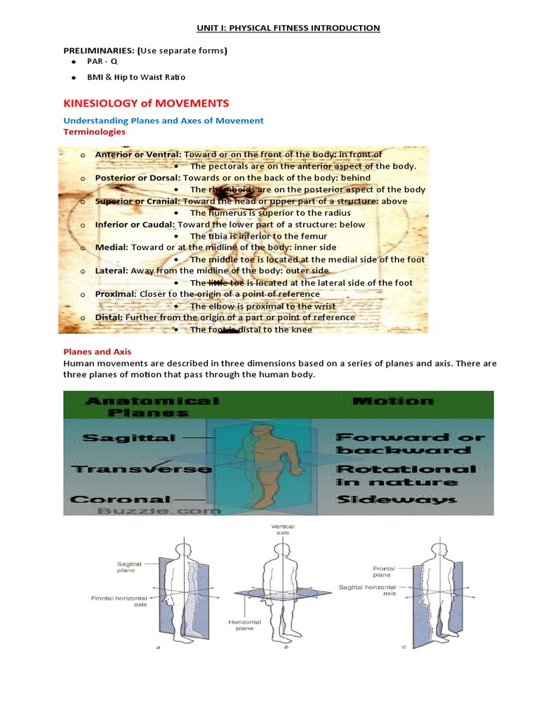 Kinesiology of Movements: Understanding Planes and Axes of Movement ...