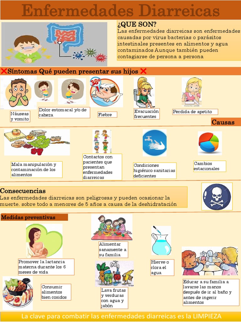 Enfermedades diarreicas: causas, síntomas y medidas preventivas | PDF ...