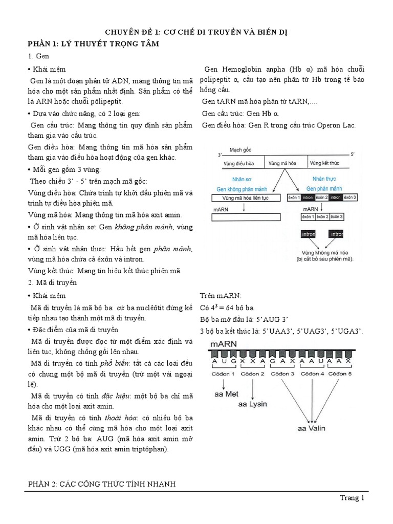 TÀI LIỆU ÔN THI TN - 12A2 | PDF
