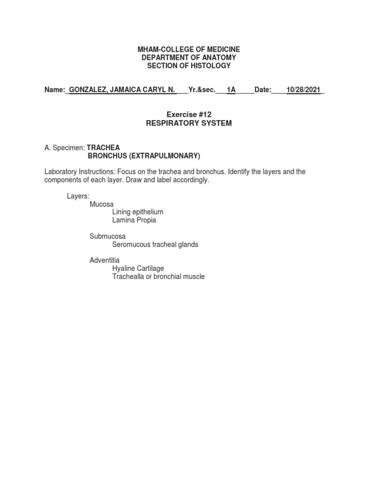 1a - Gonzalez, Jamaica Caryl N. (Respiratory) | PDF | Respiratory Tract ...