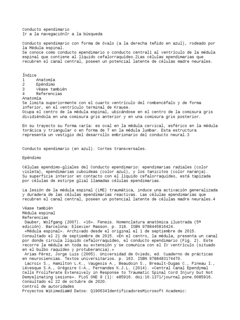 Conducto Ependimario | PDF | Sistema nervioso central | Anatomía humana