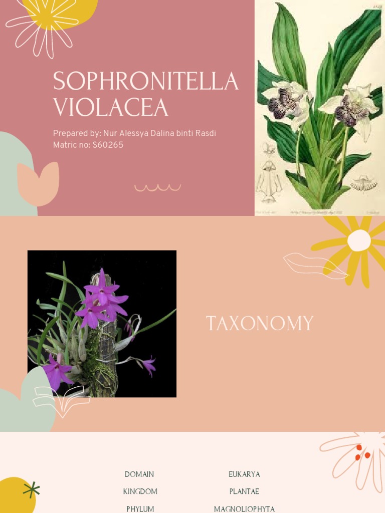 Bio 3003 Flip Book | Download Free PDF | Gardening | Orchidaceae