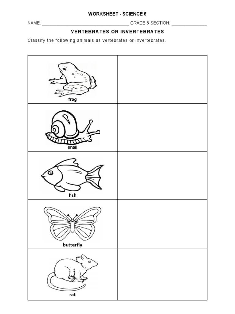 Science 6: Animal Classification Worksheet | PDF