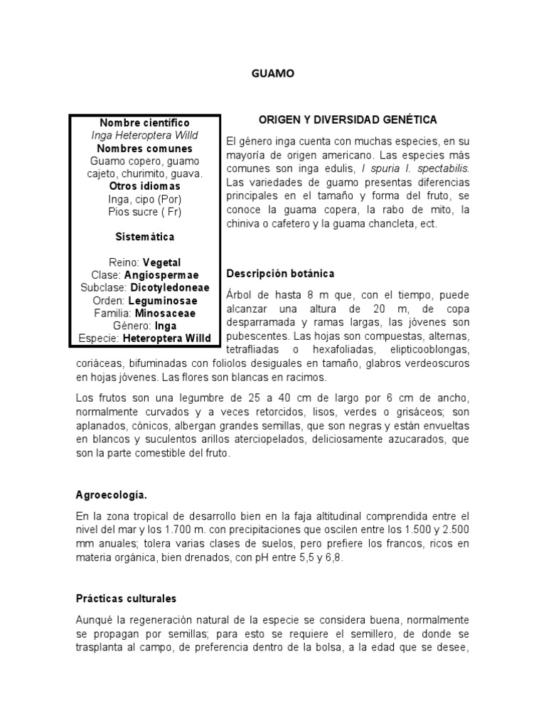 GUAMO | PDF | Plantas | Botánica