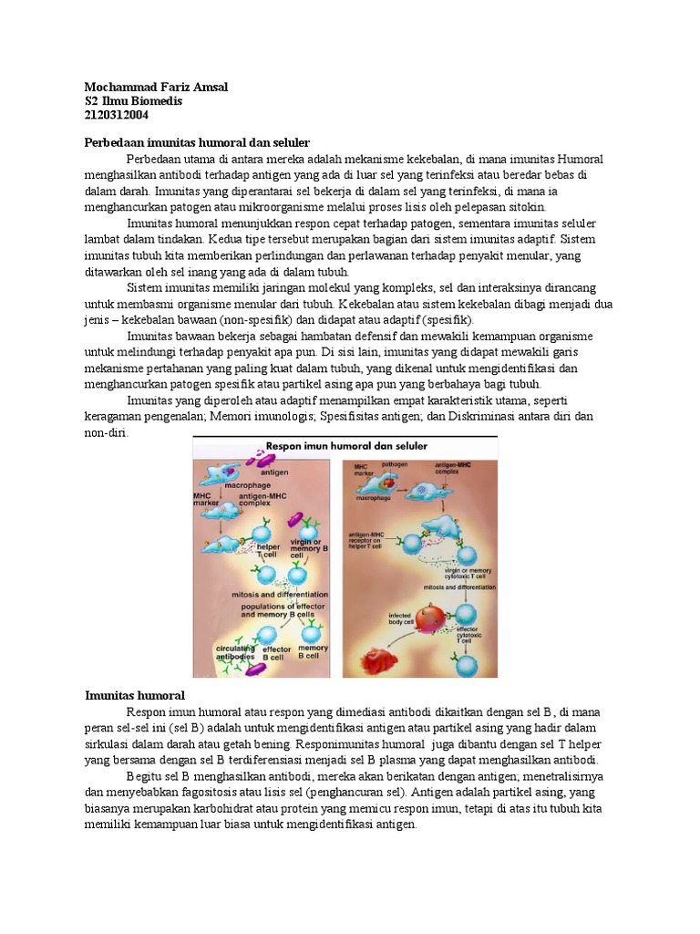 Perbandingan Mekanisme Imunitas Humoral dan Seluler | PDF