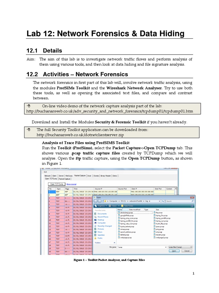 Lab12 Netw Forensics Data Hiding | PDF | Transmission Control Protocol | File Transfer Protocol