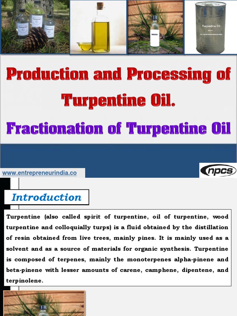 Production and Processing of Turpentine Oil-39247 | PDF | Revenue | Expense