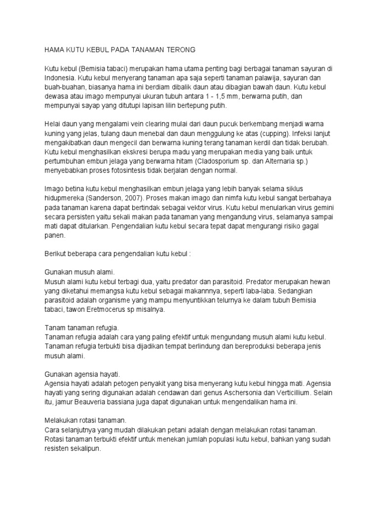 Hama Kutu Kebul Pada Tanaman Terong | PDF