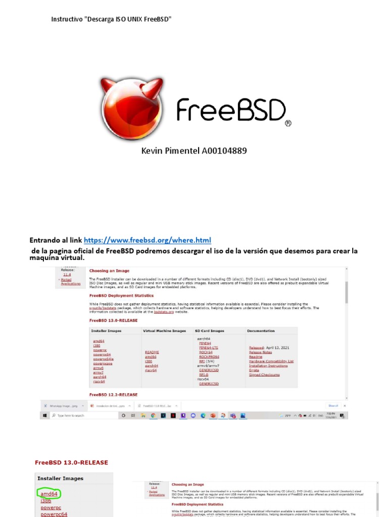 Instructivo Descarga ISO UNIX FreeBSD | PDF | Juegos y actividades | Tecnología