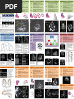 Ultrasound Measurement Cheat Sheet | PDF | Vein | Heart