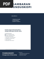 Tes Seidel & Flurosein | PDF