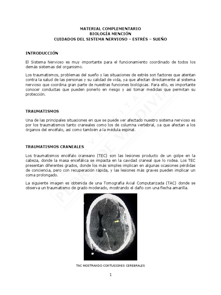 9824-Material Complementario Sistema Nervioso | PDF | Dormir | Movimiento rápido del ojo Sueño