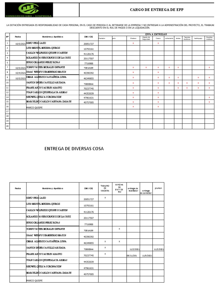 Cargo de Dotacion de Epp | PDF