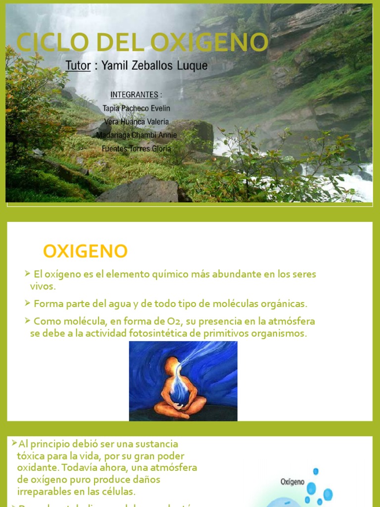 Cliclo Del Oxigeno2 | PDF | Oxígeno | Contaminación
