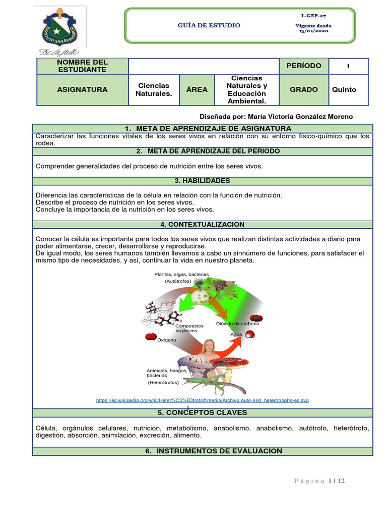 Ciencias Naturales Guia | PDF | Digestión | Sistema digestivo humano