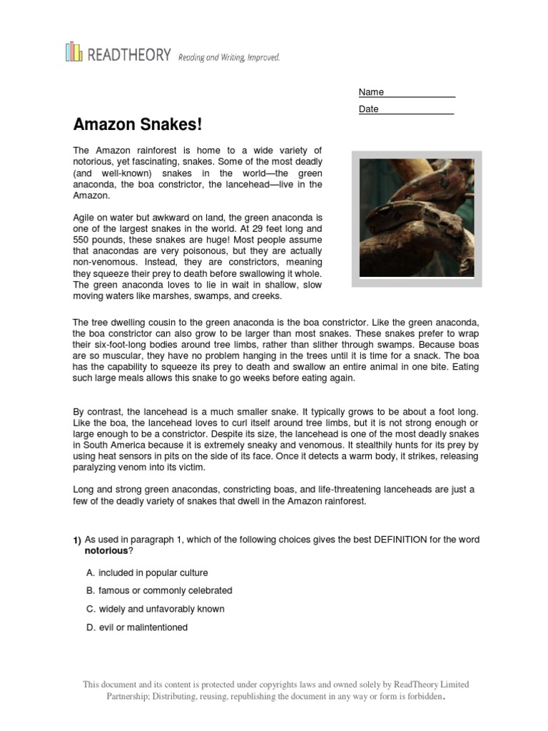 9th Grade Amazon Snakes All | PDF | Snake | Squamata