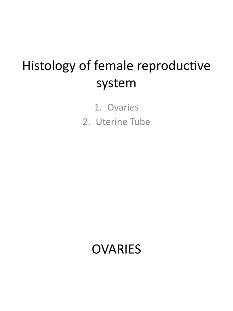 Histology of Female Reproductive System: 1. Ovaries 2. Uterine Tube ...