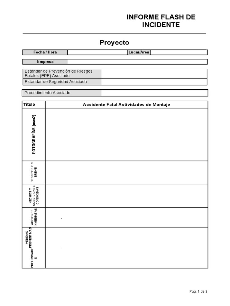 Informe Flash Accidente | PDF | Ciencias de la Salud | Cuidado de la salud