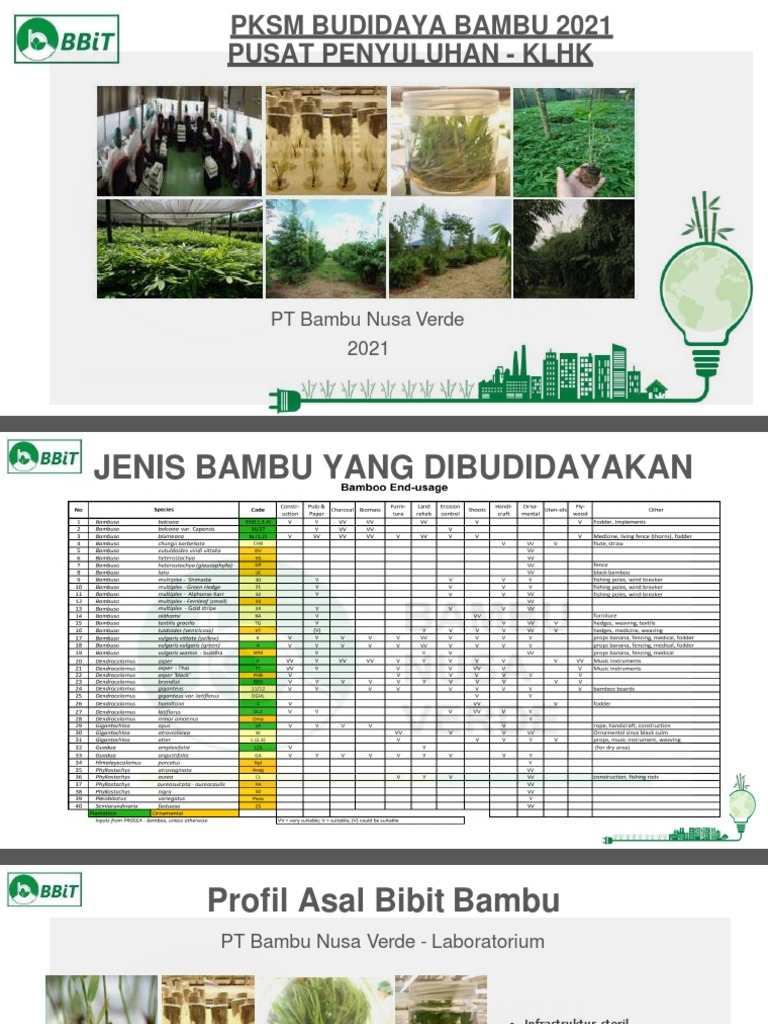 Bambu: Solusi Energi Terbarukan | PDF | Griya & Taman | Teknologi & Rekayasa