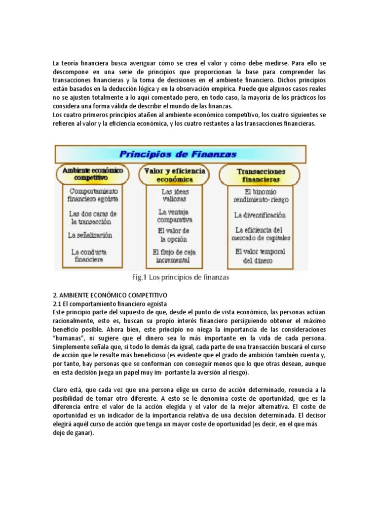 Teoria Financiera | PDF | Opción (Finanzas) | Mercado (economía)