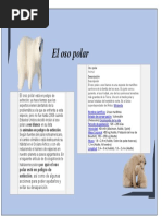 El Oso Polar | PDF | Oso polar | Osos