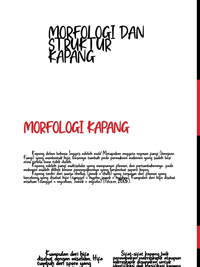 Morfologi Dan Struktur Kapang | PDF