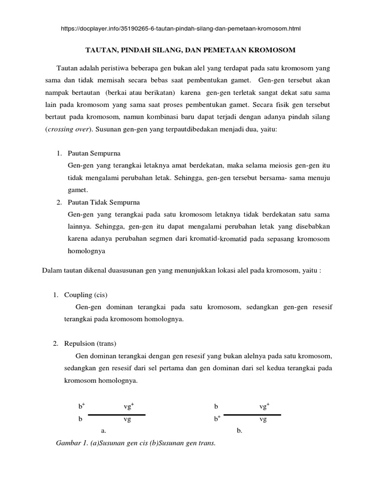 Tautan Gen dan Pindah Silang Kromosom | PDF