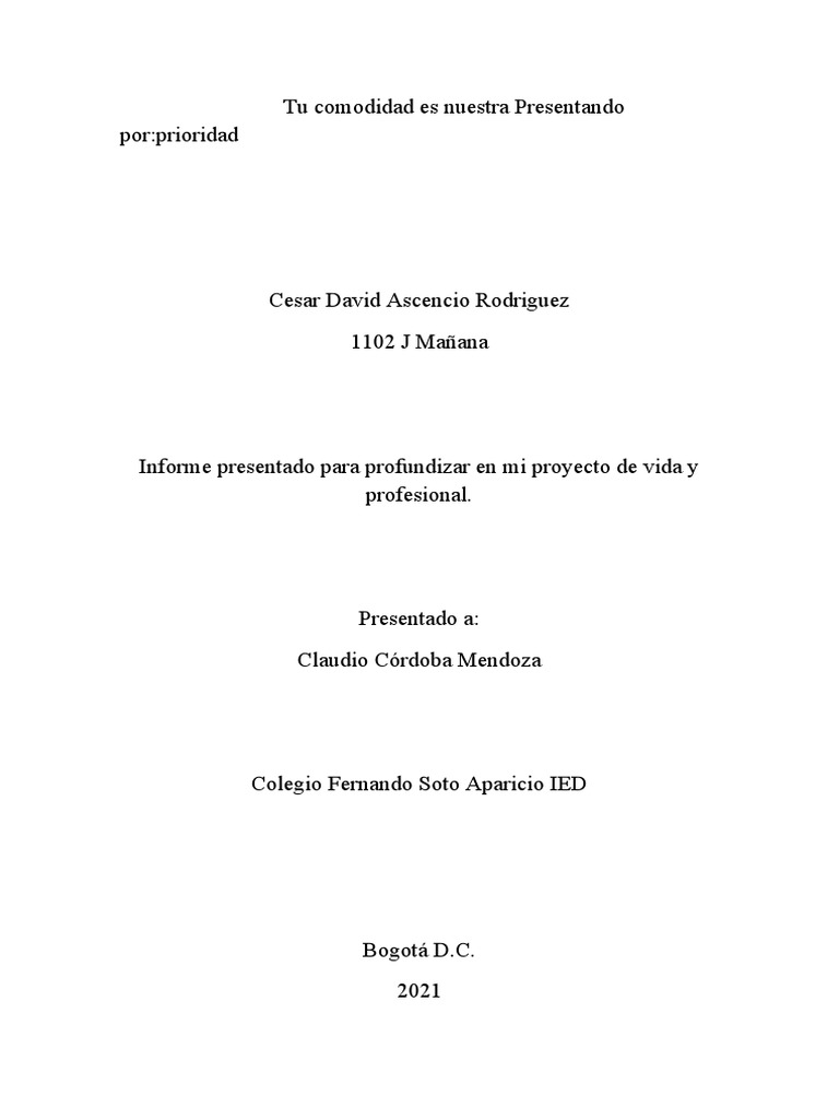 Proyecto Profesional | PDF | Creatividad | Presupuesto