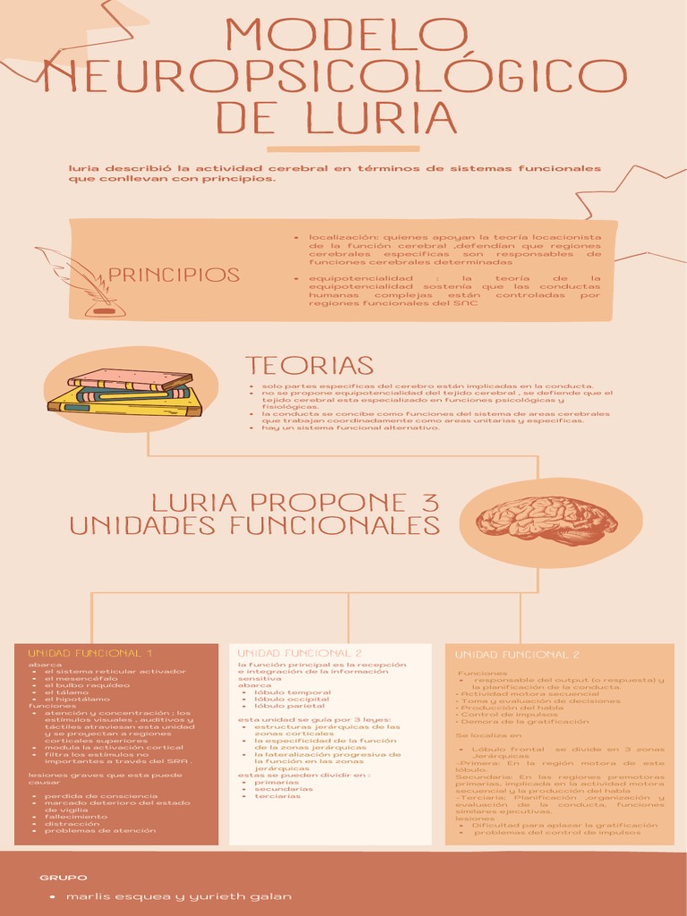 Unidades Funcionales del Modelo de Luria | PDF | Cerebro | Sistema ...
