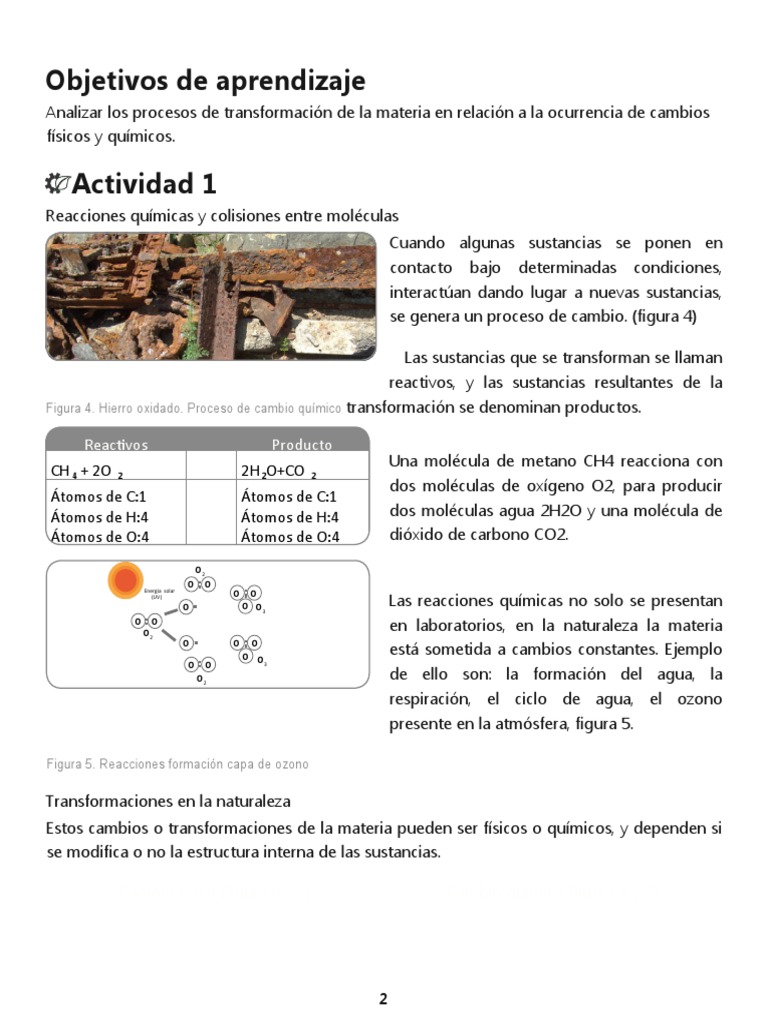 Reacciones Química Décimo | PDF | Reacciones químicas | Entalpía